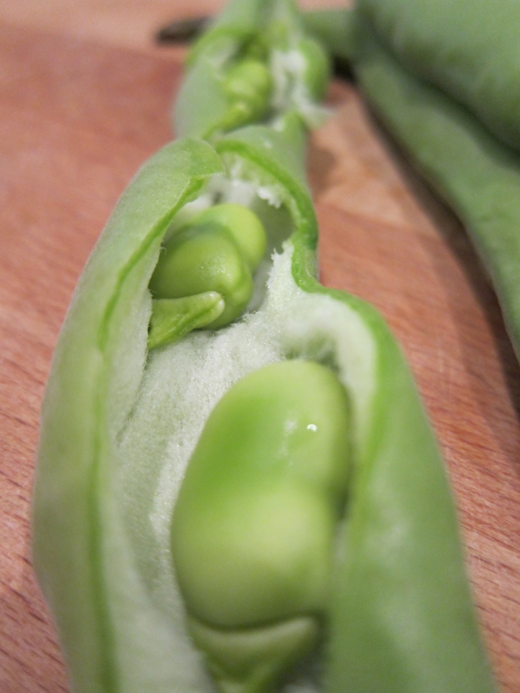 Fava Bean Risotto | My Kitchen in Provence