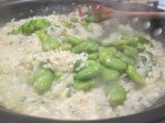 Fava Bean Risotto | My Kitchen in Provence
